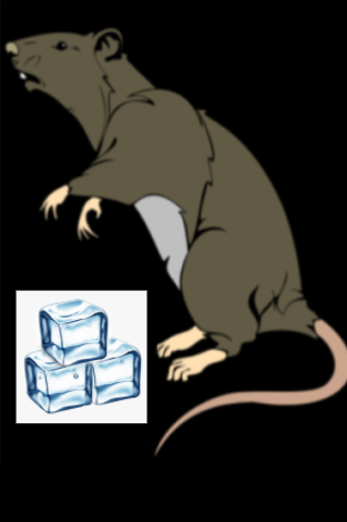Frozen Rats | Shop Co.